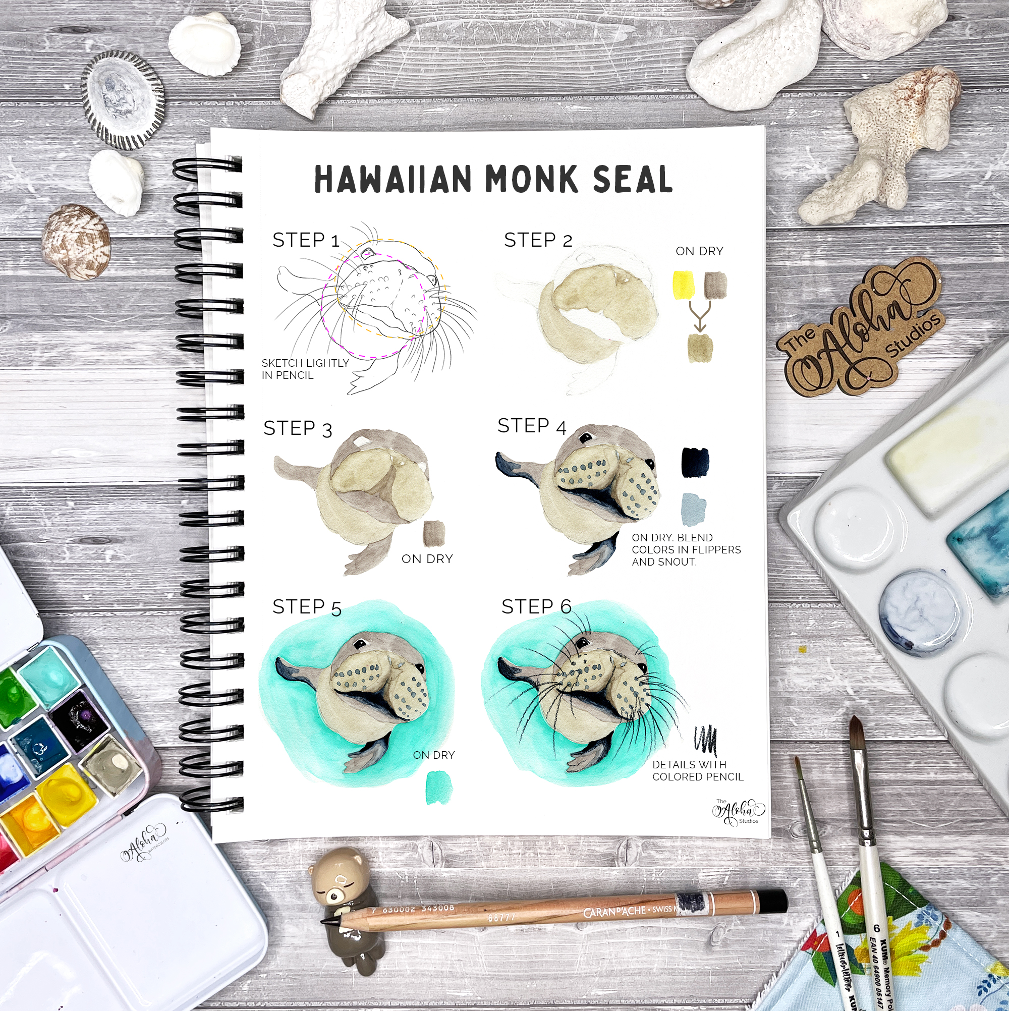 Ocean animals in Hawaii – Keiko Saile – The Aloha Studios