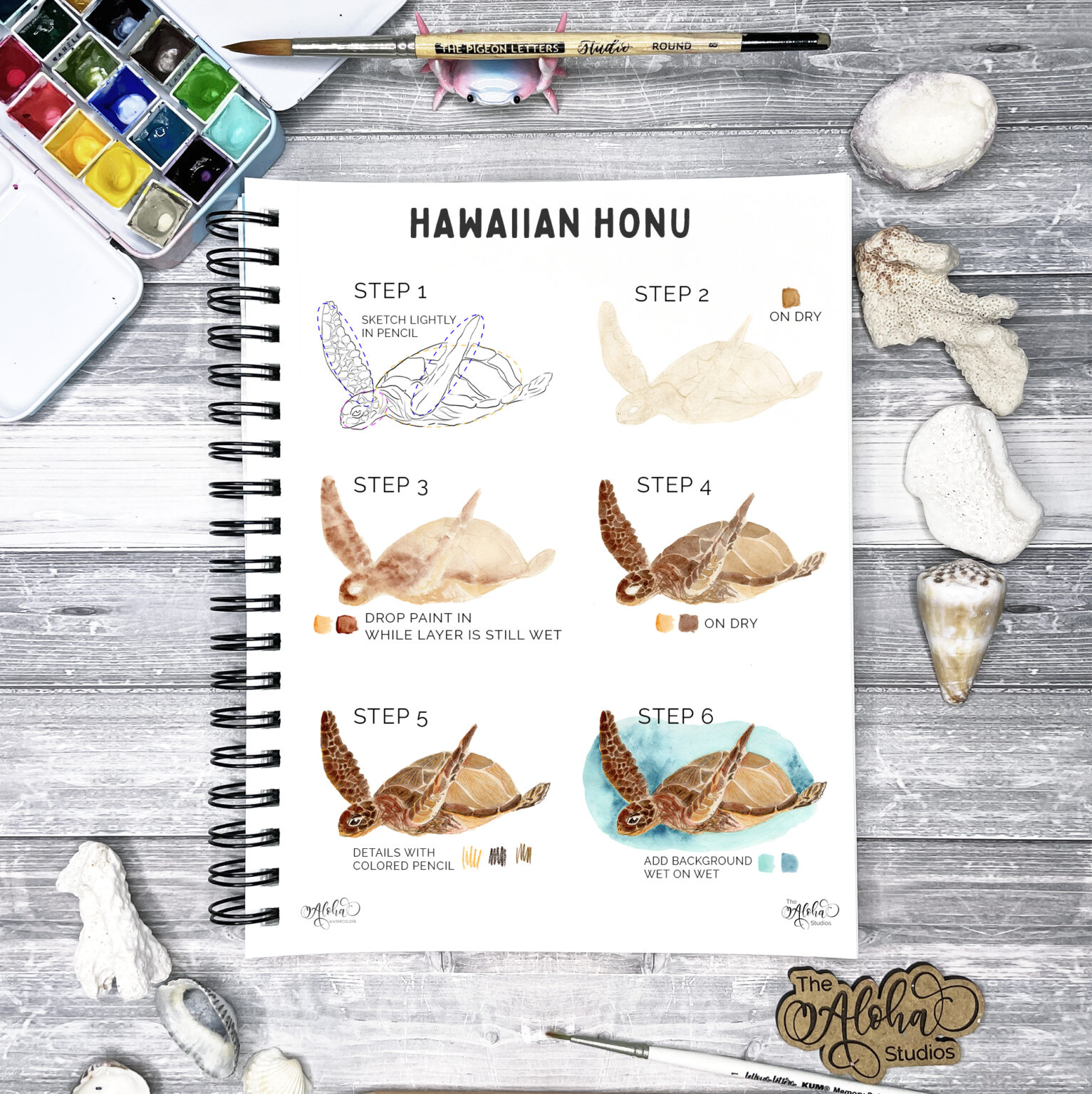 Ocean animals in Hawaii – Keiko Saile – The Aloha Studios