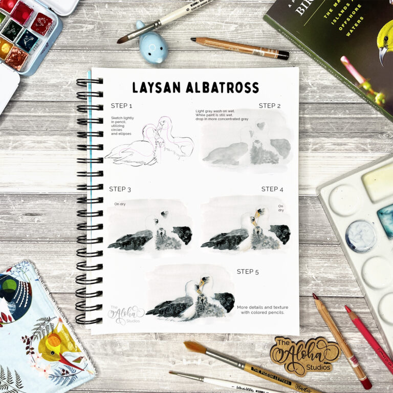 Hawaiian birds tutorials – Keiko Saile – The Aloha Studios