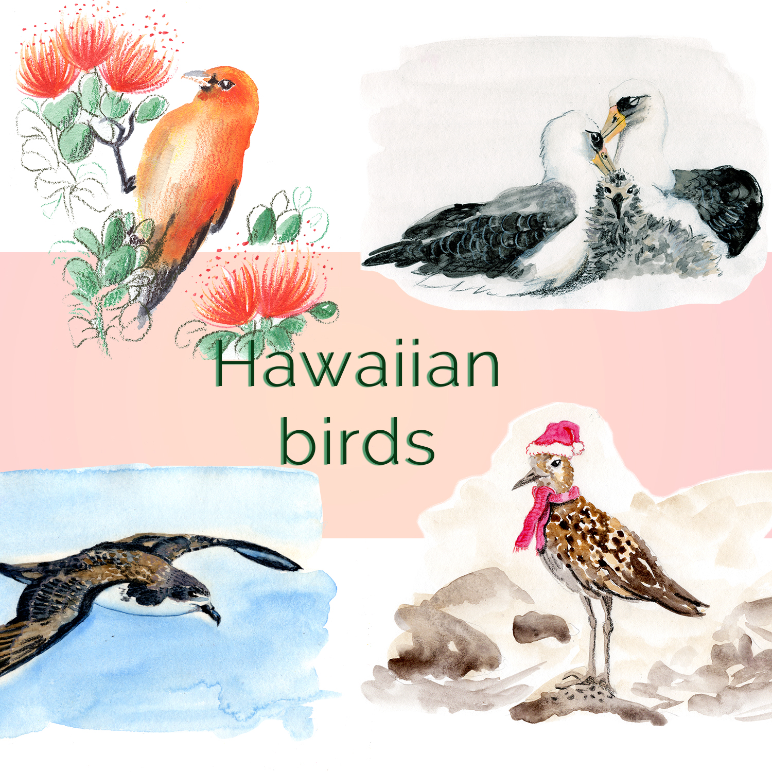 Keiko Saile – The Aloha Studios – Start your creative journey today! I ...